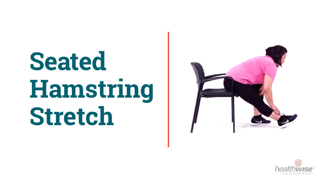 Seated Hamstring Stretching Exercises